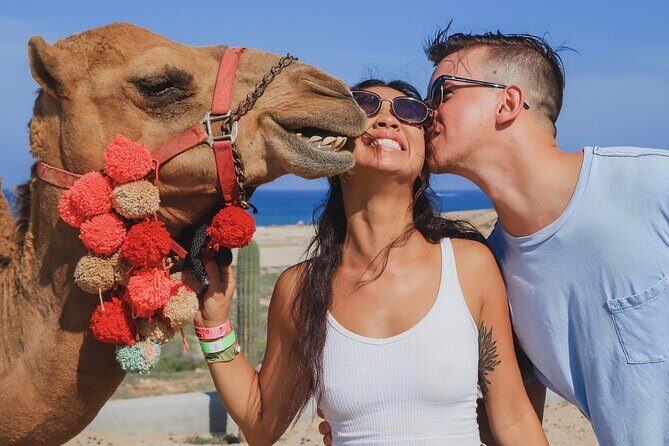 UTV Adventure + Free Camel Ride & Sky Bikes - What travelers say: honest insights from reviews