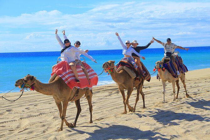 UTV Adventure + Free Camel Ride & Sky Bikes - Frequently Asked Questions