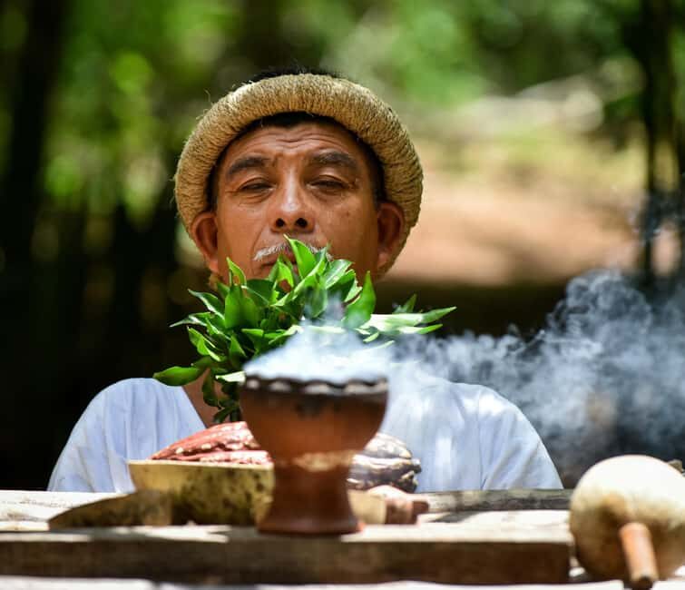 Uxmal: Choco History Museum & Cenote - Who Will Love This Tour?