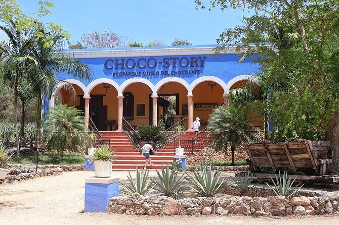 Uxmal Cultural and Gastronomic Tour and Cocoa Museum - The Cocoa Museum: A Sensory Journey