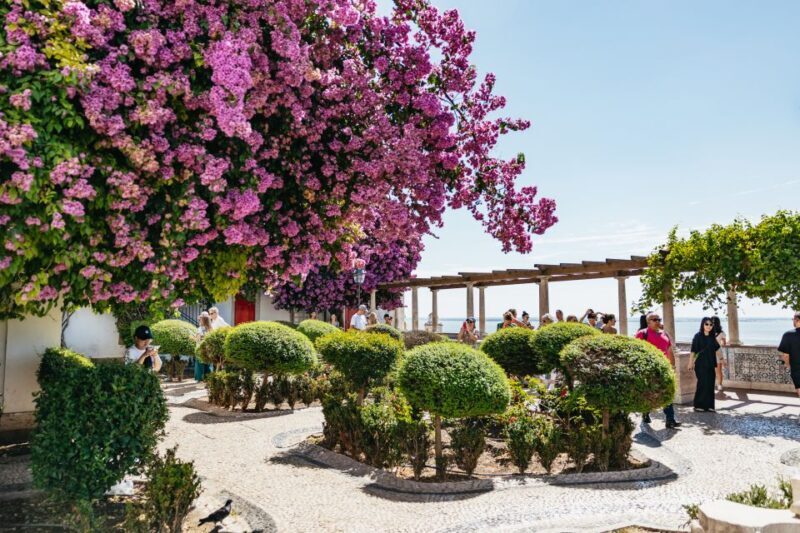 Vadio: Lisbon Old Town Private Tuk Tuk Tour - Vadio: Lisbon Old Town Private Tuk Tuk Tour – A Deep Dive