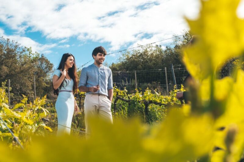 Val d'Orcia: Wine and Food Tasting at a Podere - Key Points