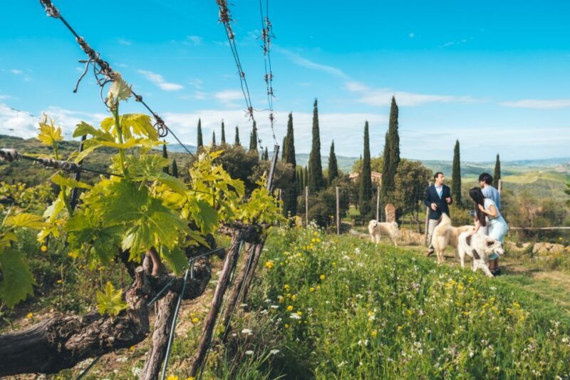 Val d'Orcia: Wine and Food Tasting at a Podere - Final Thoughts: Is It Worth It?