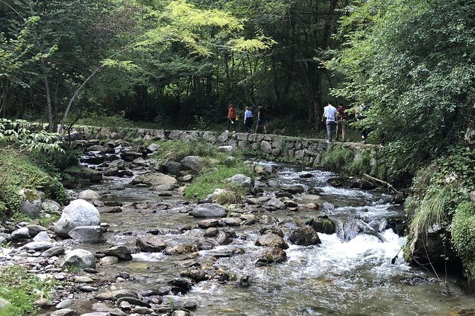 Val Senagra - The Enchanted Valley - A Deep Dive into the Val Senagra Experience