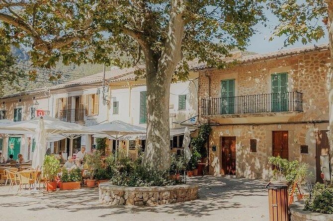 Valdemossa Half Day Tour - Key Points  