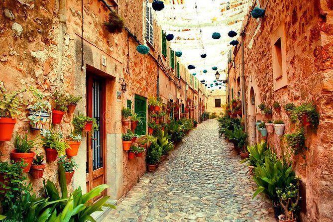 Valdemossa Half Day Tour - Who Should Consider This Tour?