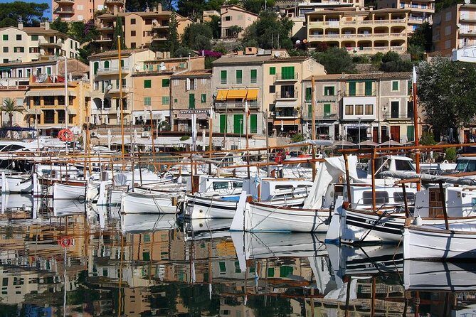 Valdemossa Half Day Tour - Frequently Asked Questions