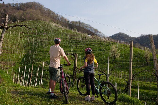 Valdobbiadene e-bike tour amongst vineyards UNESCO Prosecco Hills - Summary