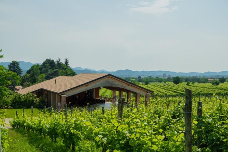 Valdobbiadene: Prosecco Tasting Experience - Why This Tour Works Well
