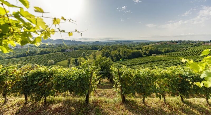 Valdobbiadene: Prosecco Tasting Experience - Final Thoughts: Is It Worth It?