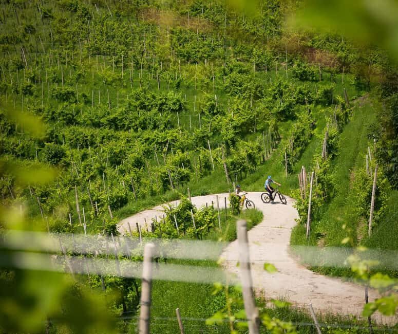 Valdobbiadene: self-guided e-bike tour in the Prosecco Hills - An Authentic Ride Through Italy’s Prosecco Hills