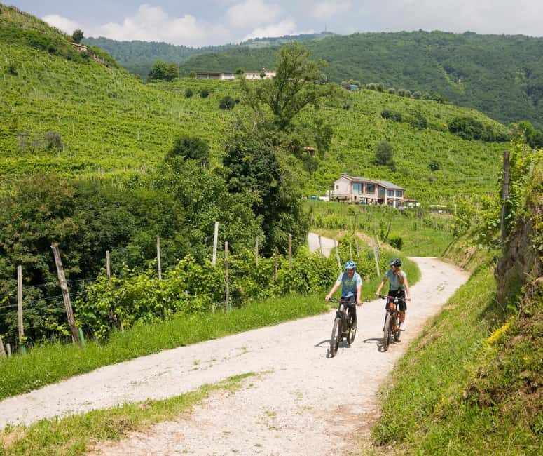 Valdobbiadene: self-guided e-bike tour in the Prosecco Hills - What We Loved About the Experience