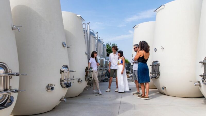 Valdobbiadene:Prosecco tasting,appetizers,winery & vineyard - A Deep Dive into the Valdobbiadene Prosecco Experience