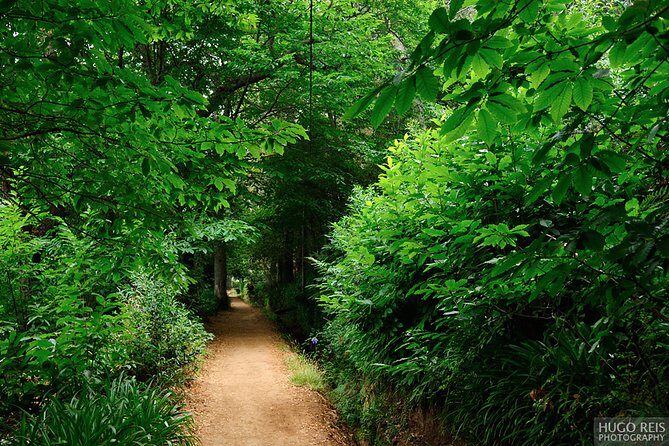 Vale Paraiso - Paradise Valley Walk - Exploring Madeira’s Charm with the Vale Paraiso – Paradise Valley Walk