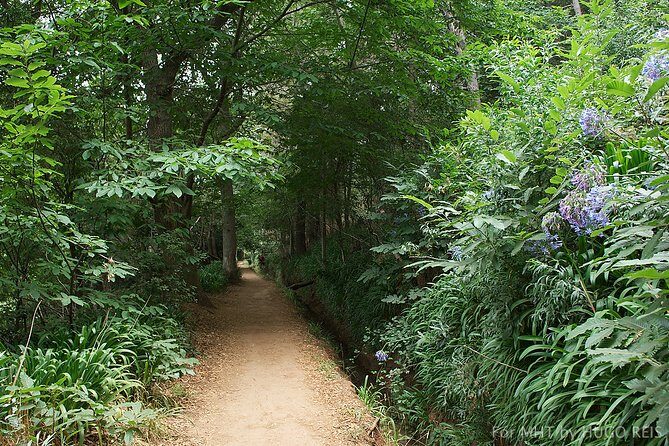 Vale Paraiso - Paradise Valley Walk - Practical Details to Know