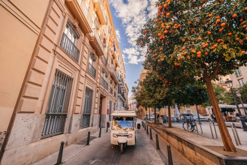 Valencia 1 hour by TukTuki: Essential and Private Tour - Frequently Asked Questions
