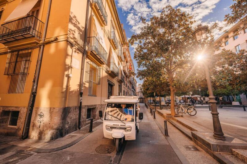 Valencia: 2-hour City Highlights Guided Tour by Tuk Tuk - A Detailed Look at the Tour Experience