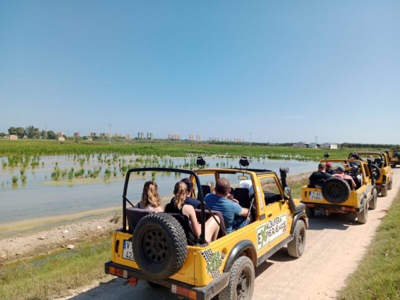 Valencia: Albufera Jeep and Boat Tour - Final Thoughts: Who Will Love This Tour?