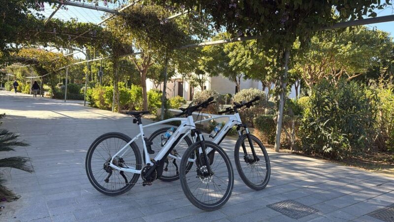 Valencia all in one: beaches, old town & city arts by E-bike - Discovering Valencia on Two Wheels