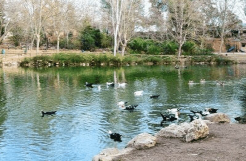 Valencia: Anna Alhambra and 3 Waterfalls Guided Tour - The Itinerary in Detail