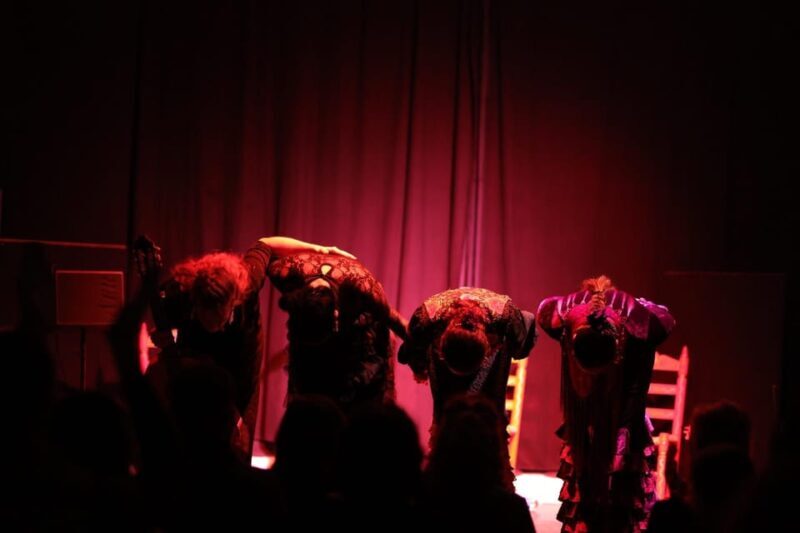 Valencia: Authentic Flamenco Show Entry Ticket - Who Will Love This Show?