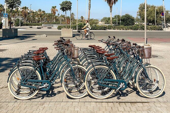 Valencia Bike Tour through Local Hotspots with History - Exploring Valencia on Two Wheels
