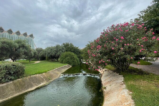 Valencia Bike Tour: Top Sights and City of Arts & Sciences - The Sum Up