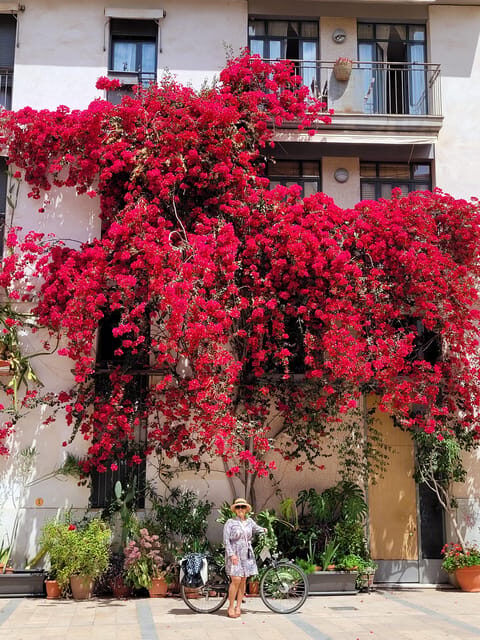 Valencia, Biketour of all the city with a local guide - FAQs  