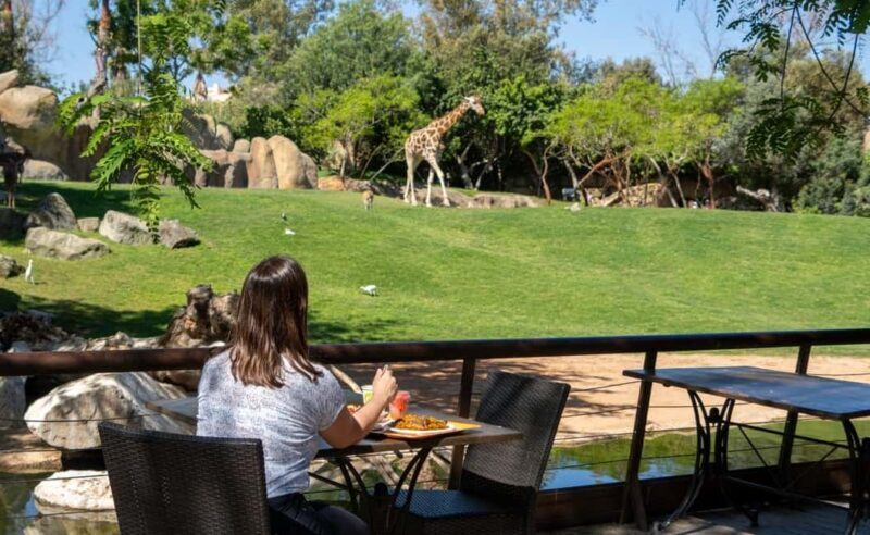 Valencia: Bioparc Valencia Admission Ticket - The Sum Up