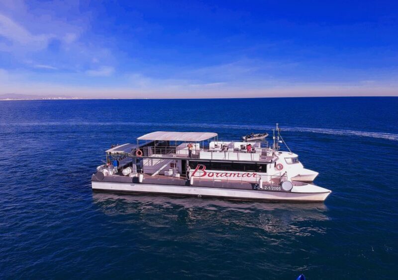 Valencia: Catamaran Cruise with Stop for Swimming - Who Should Book This Tour?