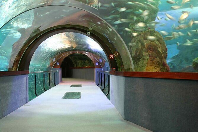 Valencia City Excursion - From Albir, Benidorm & Calpe - Key Points