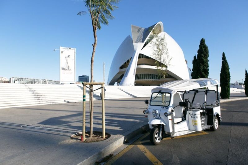 Valencia: Complete Tuk-Tuk Tour Around the City - Who Will Love This Tour?