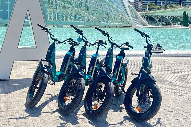 Valencia: Essentials Bike Tour from Ruzafa - Who Would Love This Experience?
