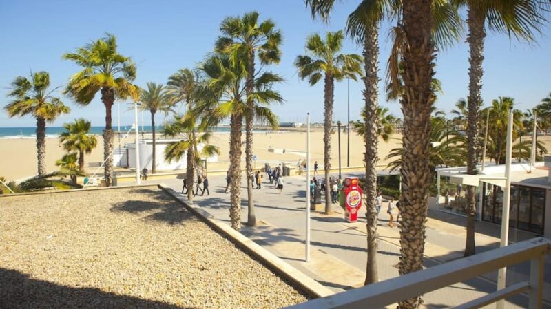 Valencia: Fantastic Segway Tour from the Center to the Beach - What to Expect on the Day