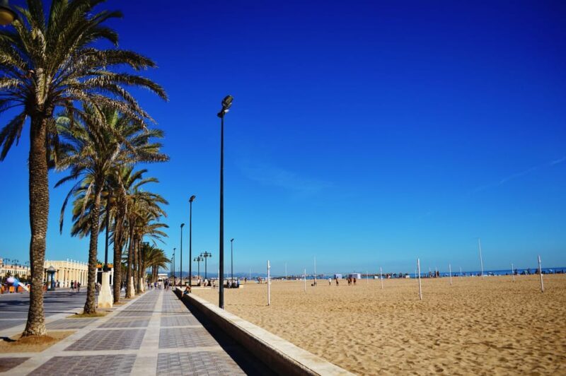 Valencia: Fantastic Segway Tour from the Center to the Beach - The Price and What You’re Getting