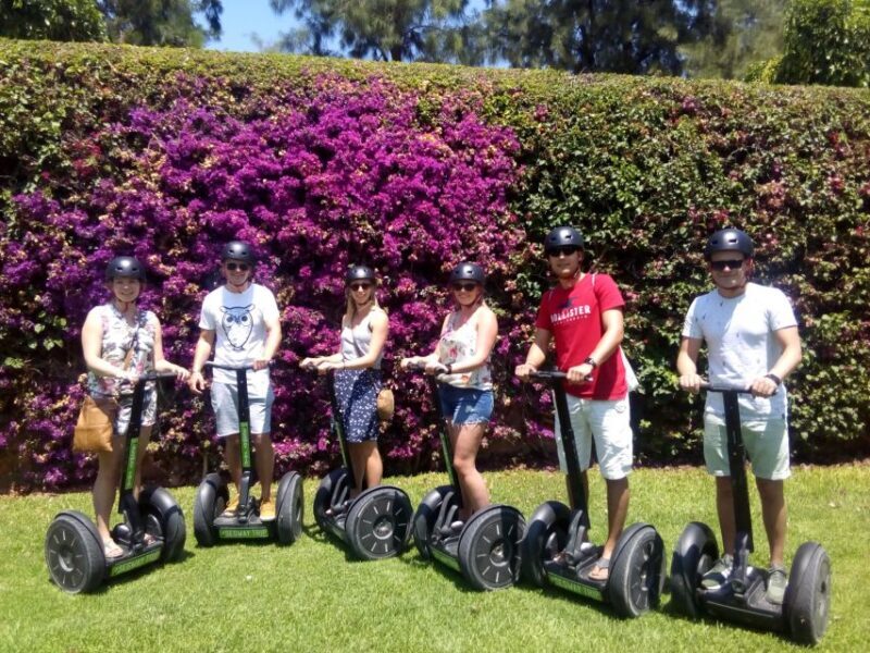 Valencia: Gardens Segway Tour 1h. - What to Expect from the Tour