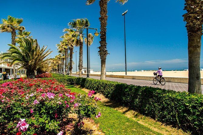 Valencia Highlights with Private Vehicle (Private Tour) - FAQs