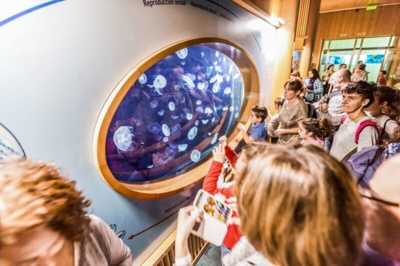 Valencia: Oceanogràfic Entry Ticket - Who Will Love This Experience?