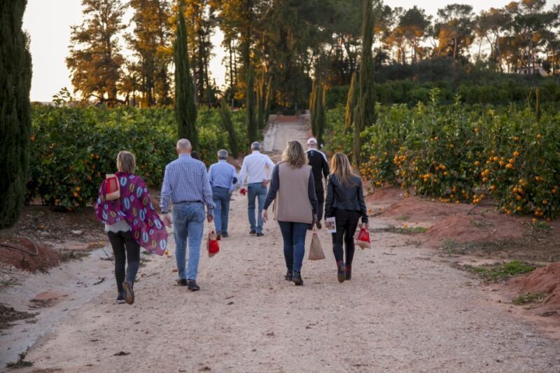 Valencia: Orange Farm and Orchard Trip with Tastings - A Closer Look at the Tour Experience