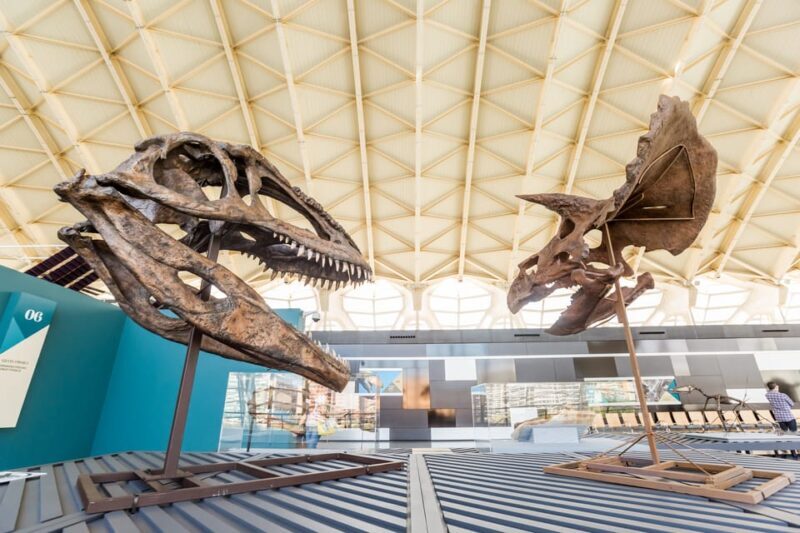 Valencia: Principe Felipe Science Museum Entry Ticket - Final Thoughts