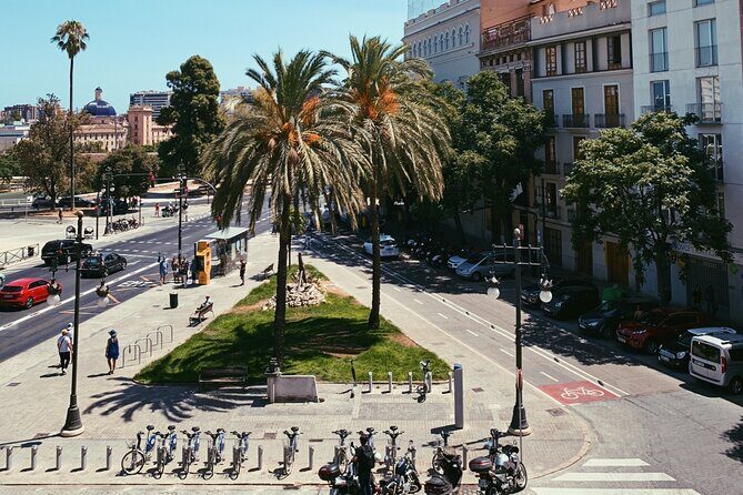 Valencia Private Walking Tour with a Local - What to Expect from Your Private Guide