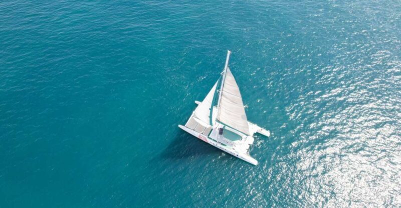 Valencia: Sailing Catamaran Cruise with Valencian Lunch - Food and Drinks