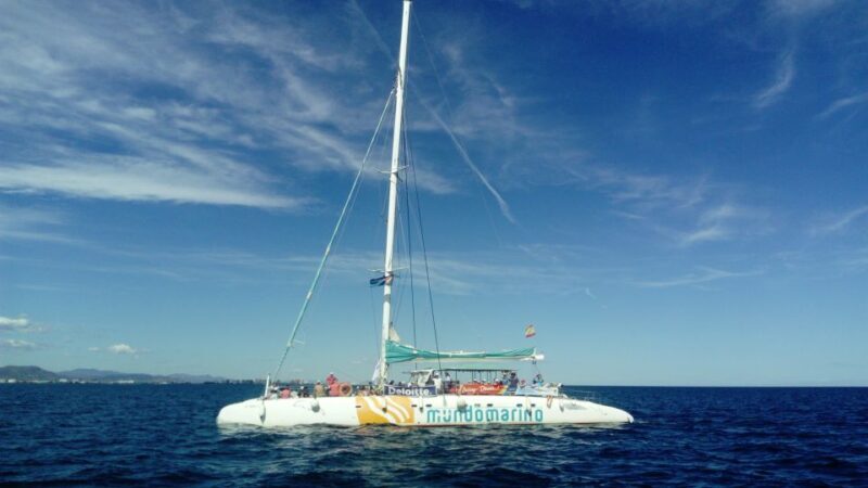 Valencia: Sailing Catamaran Cruise with Valencian Lunch - Practical Details and Tips