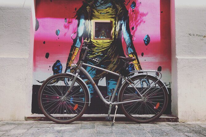 Valencia Street Art | Private Tour by Bike or Electric Ride - Weather and Cancellation Policy