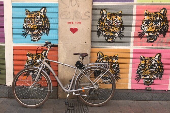 Valencia Street Art | Private Tour by Bike or Electric Ride - Who Should Take This Tour?