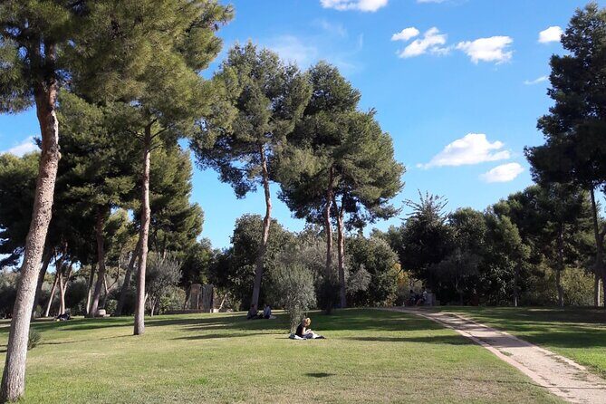 Valencia Street Art | Small Group Guided Tour by Bike - Who is This Tour Best For?