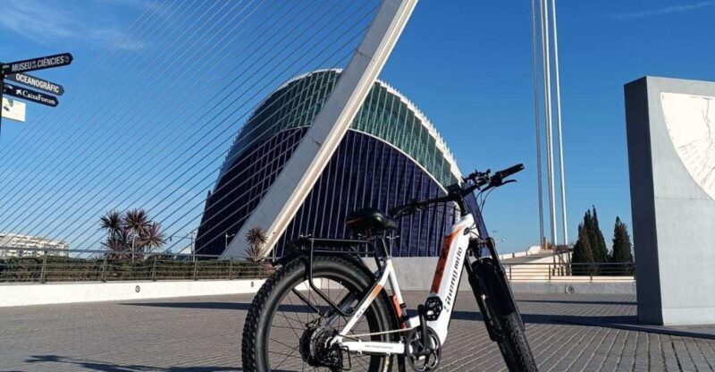 Valencia: The Albufera Lake Self-Guided E-Bike Tour - Key Points