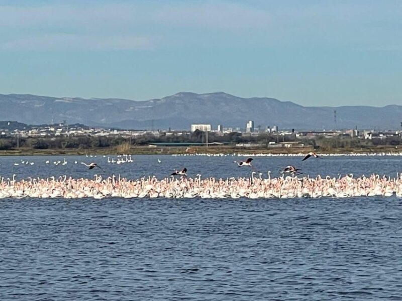 Valencia: The Albufera Lake Self-Guided E-Bike Tour - Exploring Valencia on Two Wheels: An Honest Breakdown