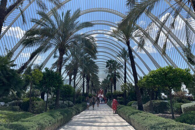 Valencia: Top 25 Highlights Guided Bike Tour - The Sum Up