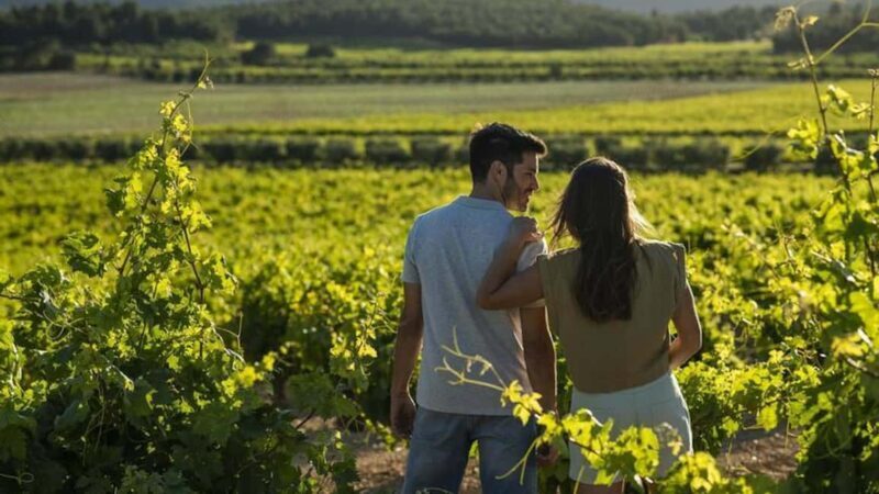 Valencia: Vineyard Tour, Local Wine, Cava Tasting & Snacks - Authentic, Educational, and Flavorful: Who Should Book This Tour?